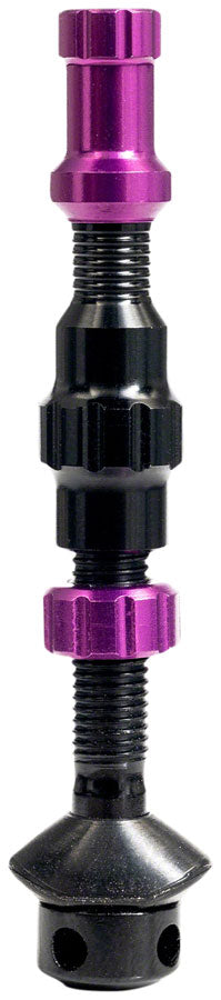 Stan's Tubeless Valve Stem Cap Color Kit - Purple, Pair – Velo Mine